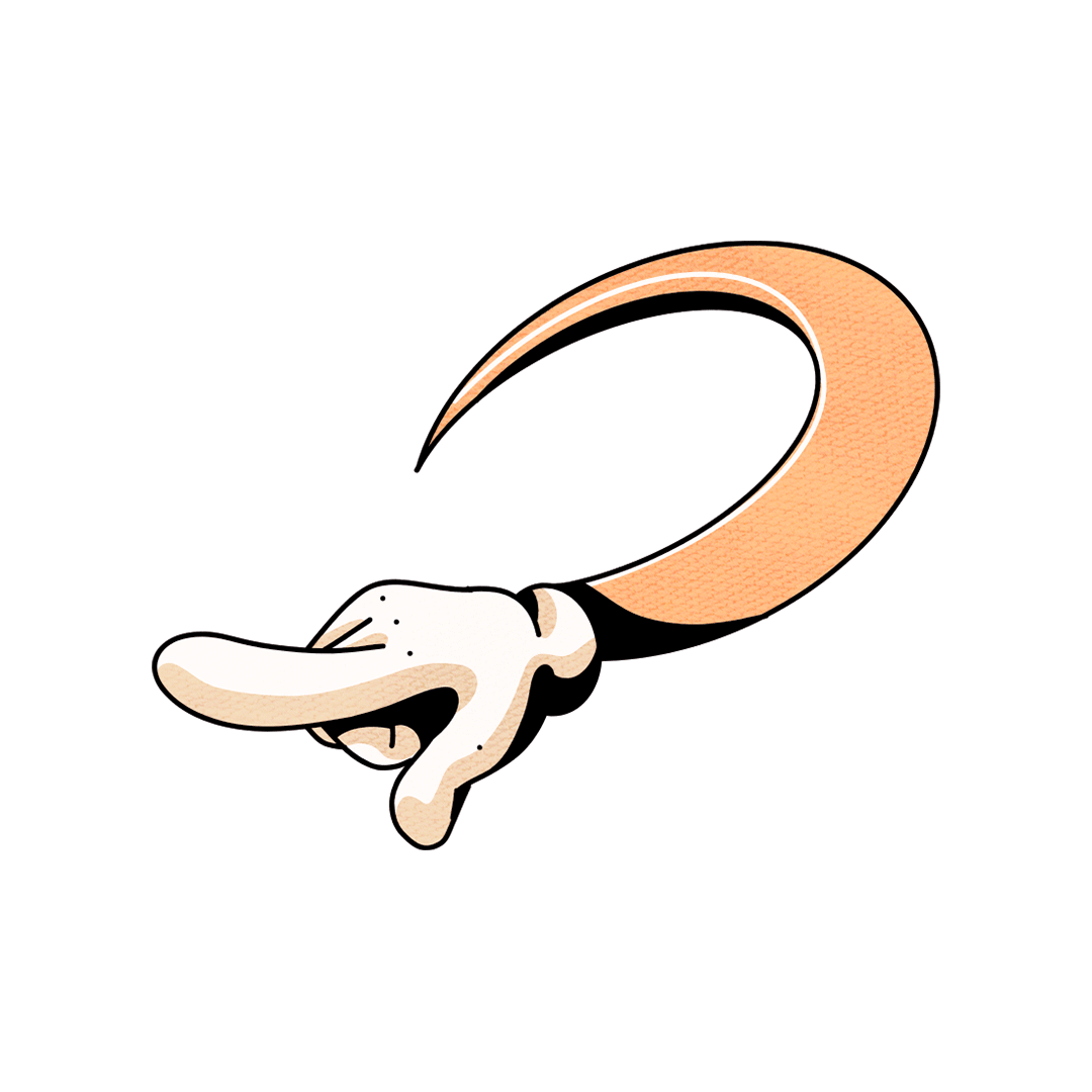 Dog Collars – vuzz.co