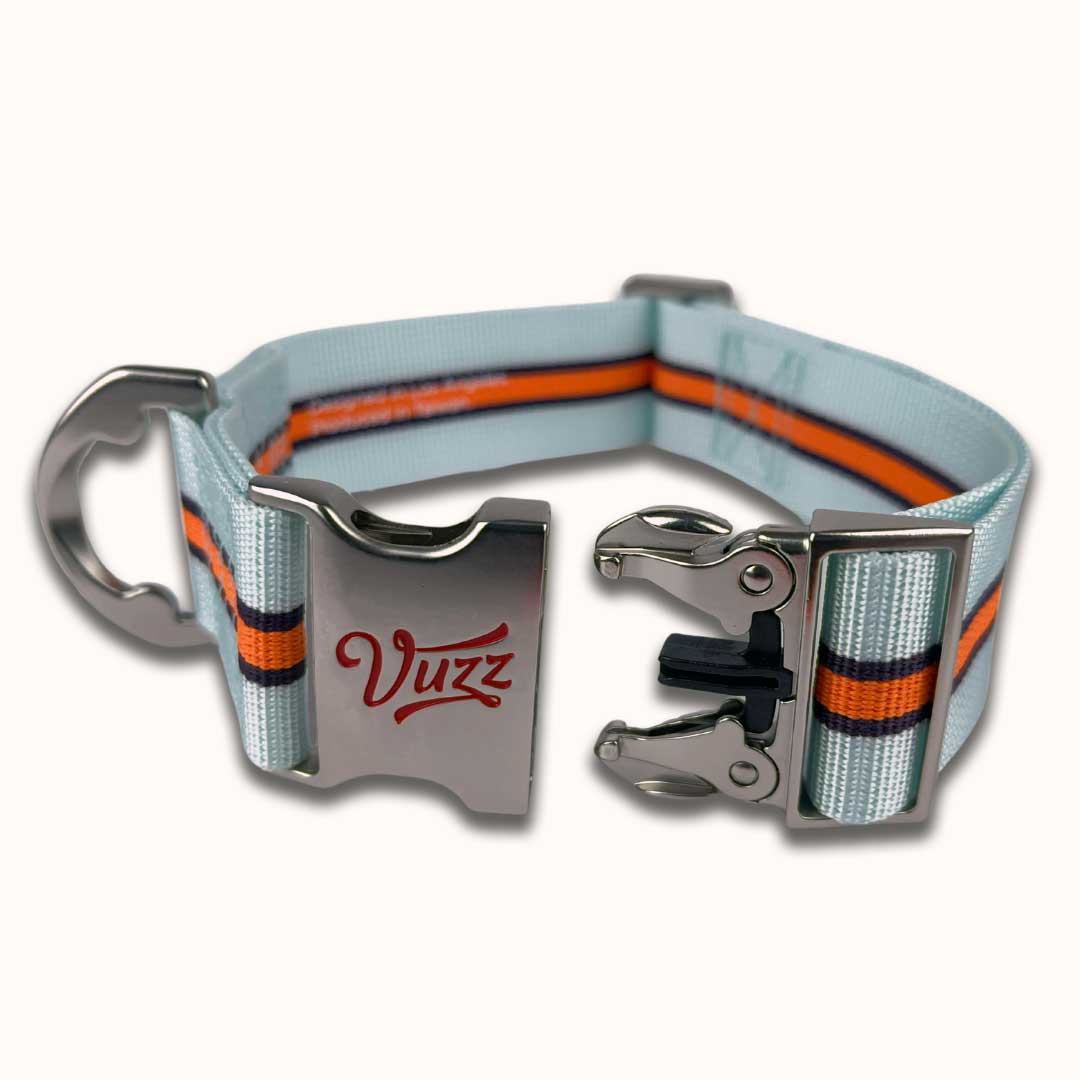 GT Collar – vuzz.co