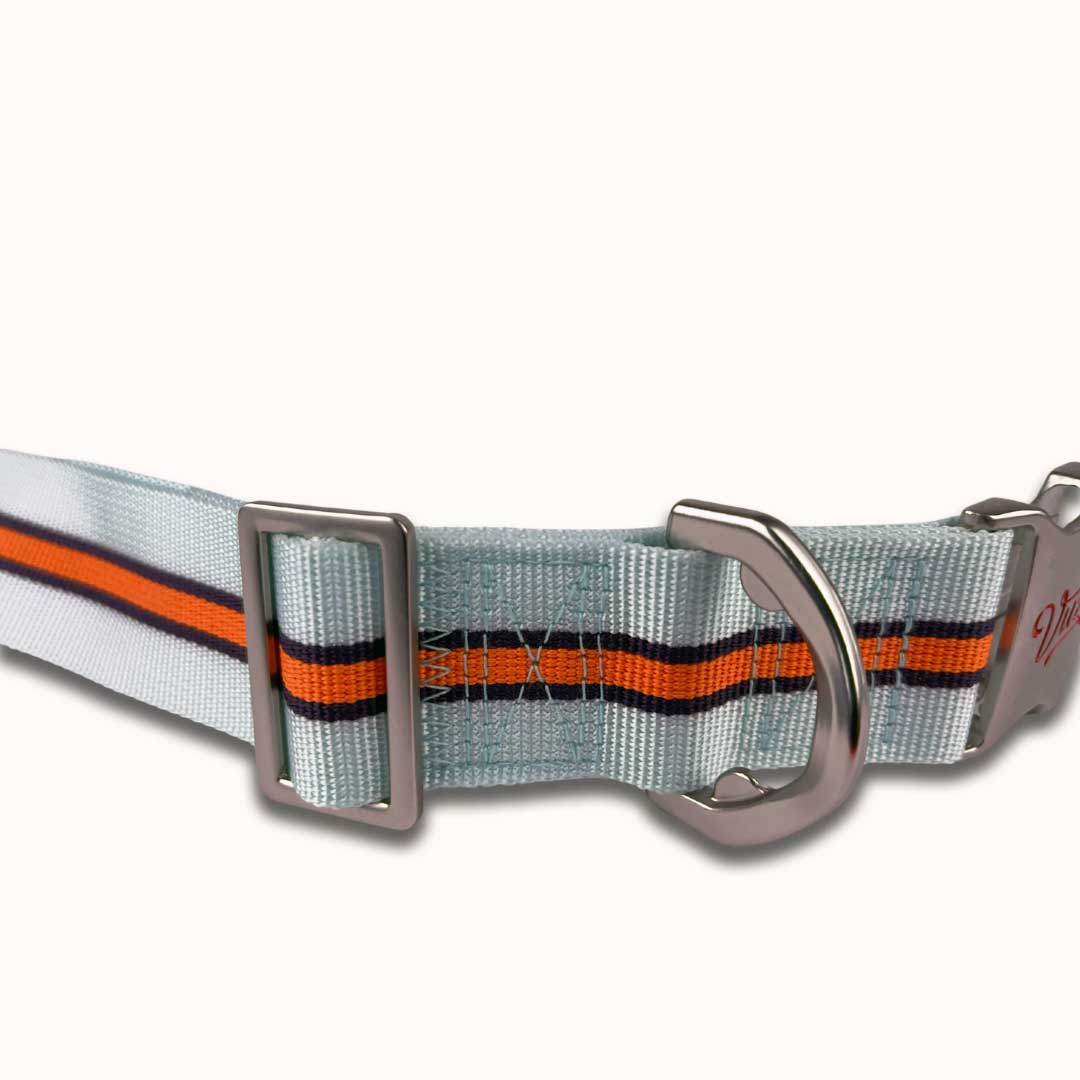 GT Collar – vuzz.co