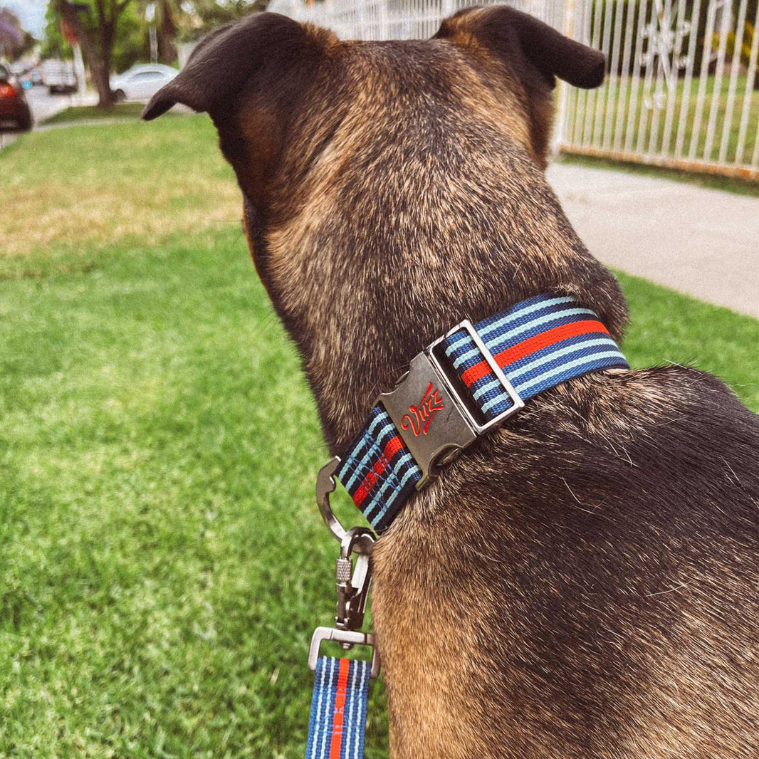 Vuzz Dog Shop – vuzz.co