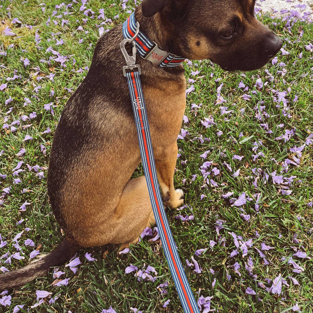 Vuzz Dog Shop – vuzz.co