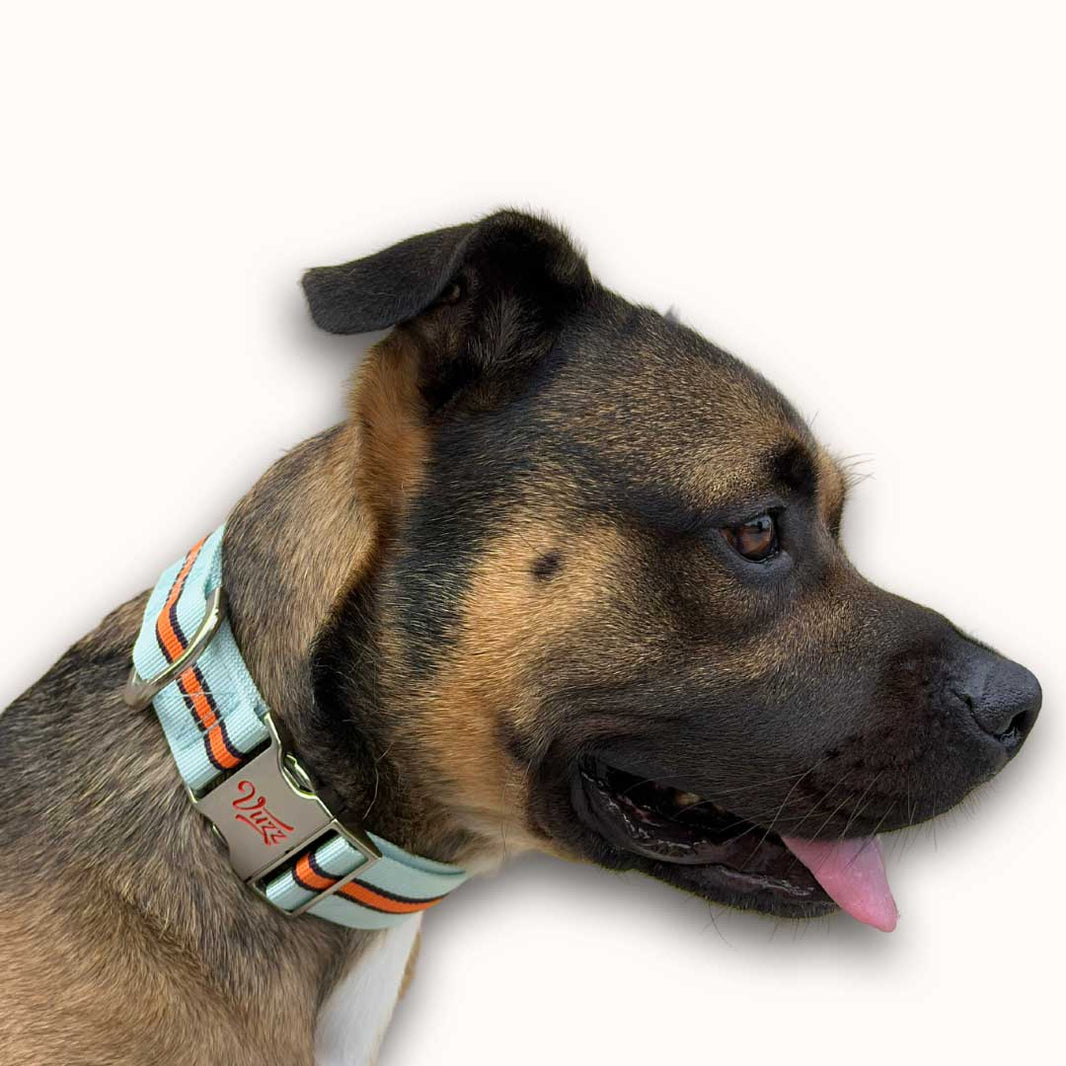 Vuzz Dog Shop – vuzz.co