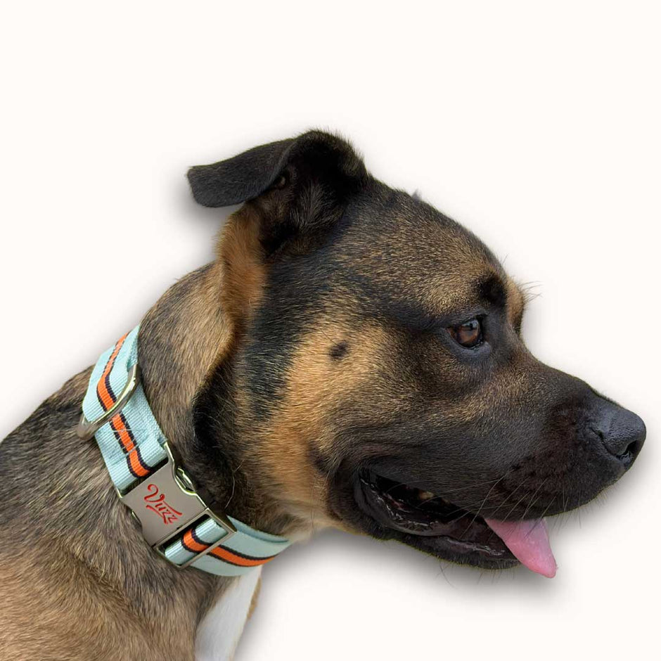 Vuzz Dog Shop – vuzz.co