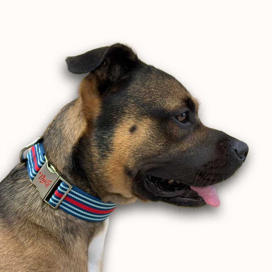 Vuzz Dog Shop – vuzz.co